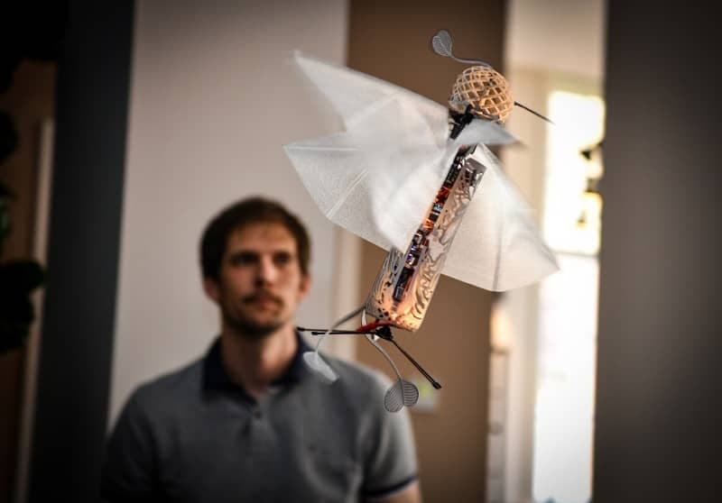 Flapper Drones - Bio-inspired Flight