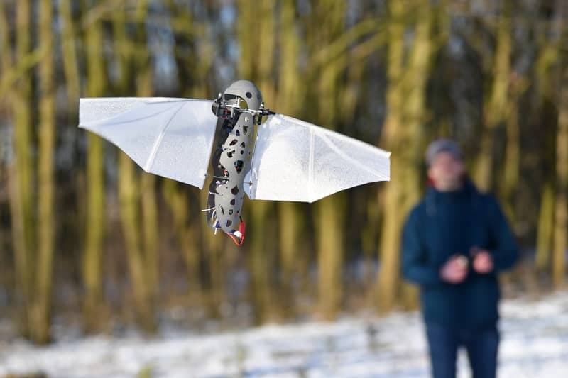 Flapper Drones - Bio-inspired Flight