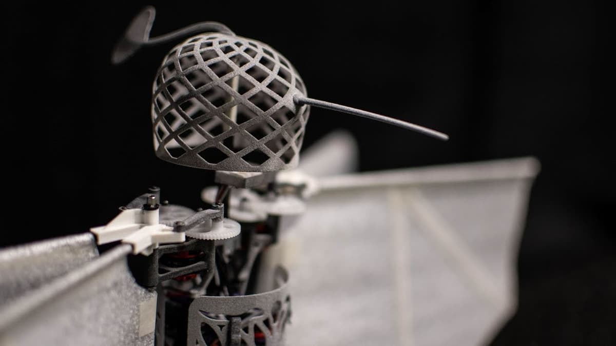 Flapper Drones - Bio-inspired Flight